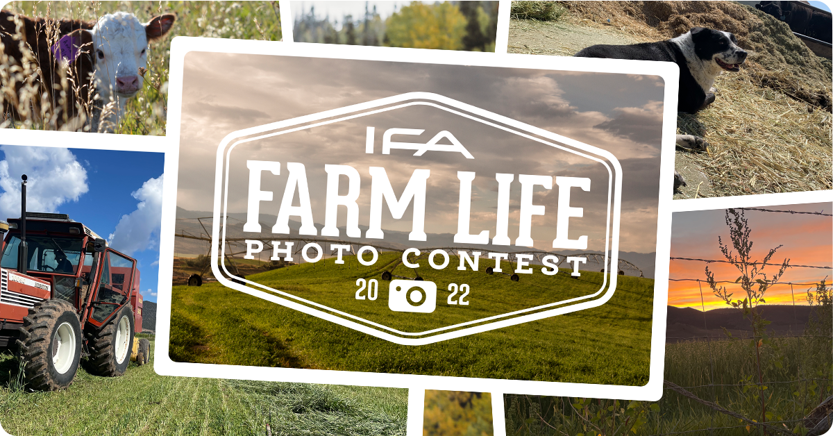 IFA Farm Life Photo Contest | IFA Country Stores