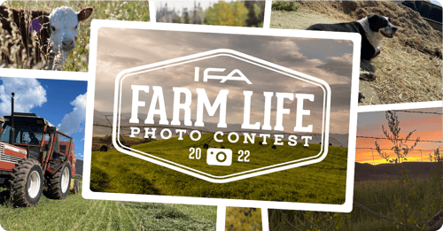 IFA Farm Life Photo Contest | IFA Country Stores