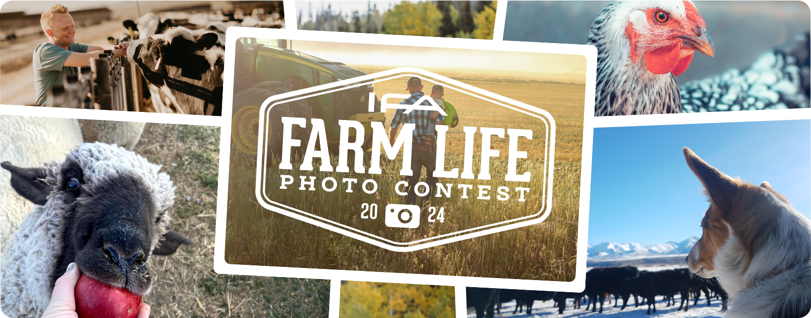 IFA Farm Life Photo Contest | IFA Country Stores