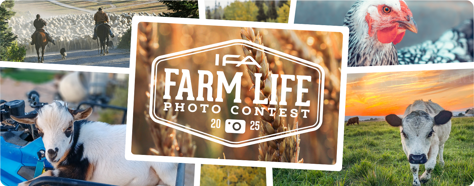 IFA Farm Life Photo Contest | IFA Country Stores