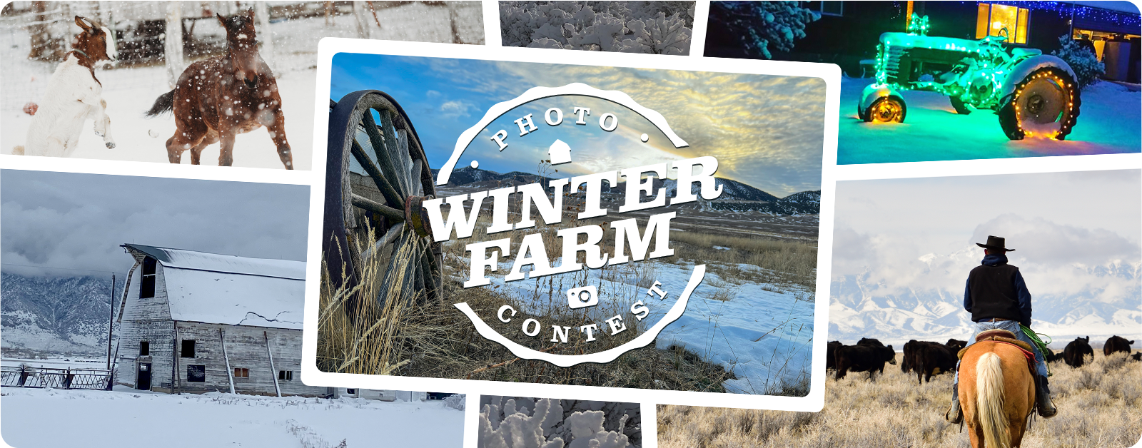 IFA Winter Farm Photo Contest | IFA Country Stores