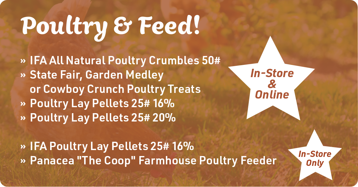 IFA 100 Year Celebration | IFA Country Store