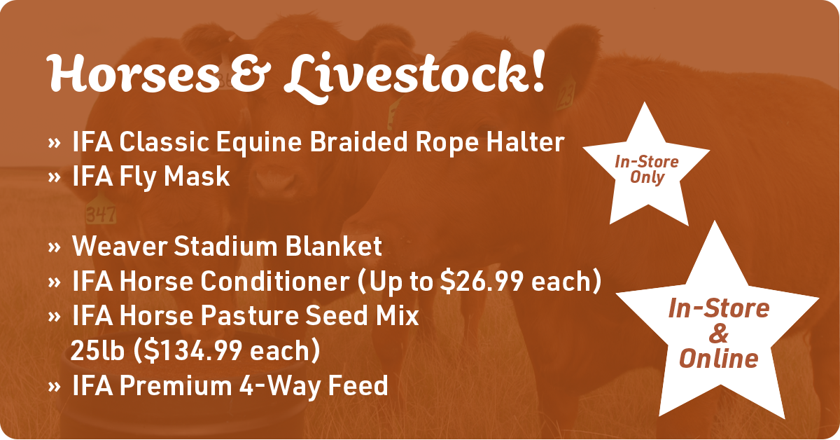 IFA 100 Year Celebration | IFA Country Store