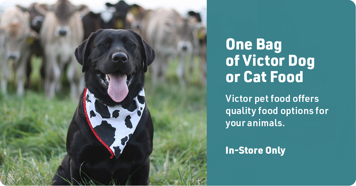 IFA 100 Year Celebration | IFA Country Store