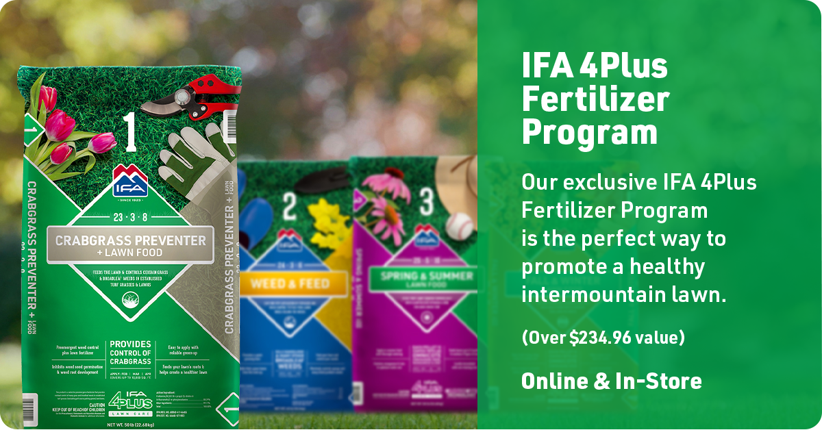 IFA 100 Year Celebration | IFA Country Store