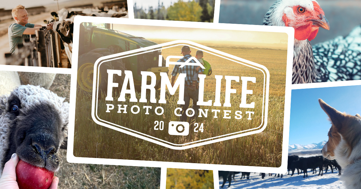 IFA Farm Life Photo Contest | IFA Country Stores