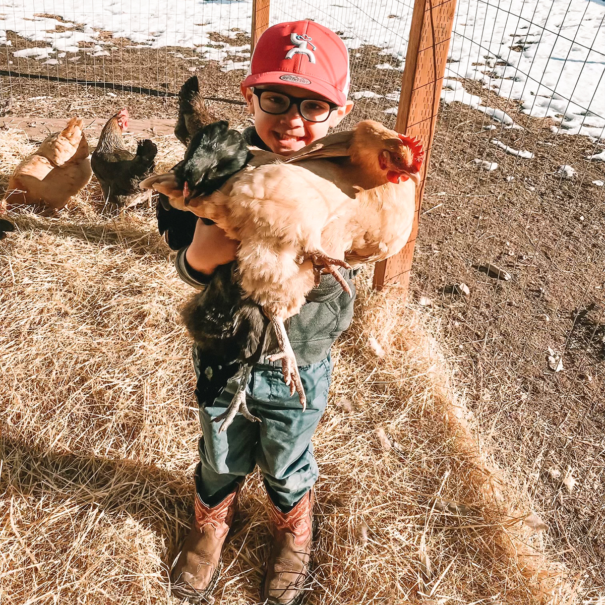 IFA Feathers & Photos: Chick Days Contest | IFA Country Stores