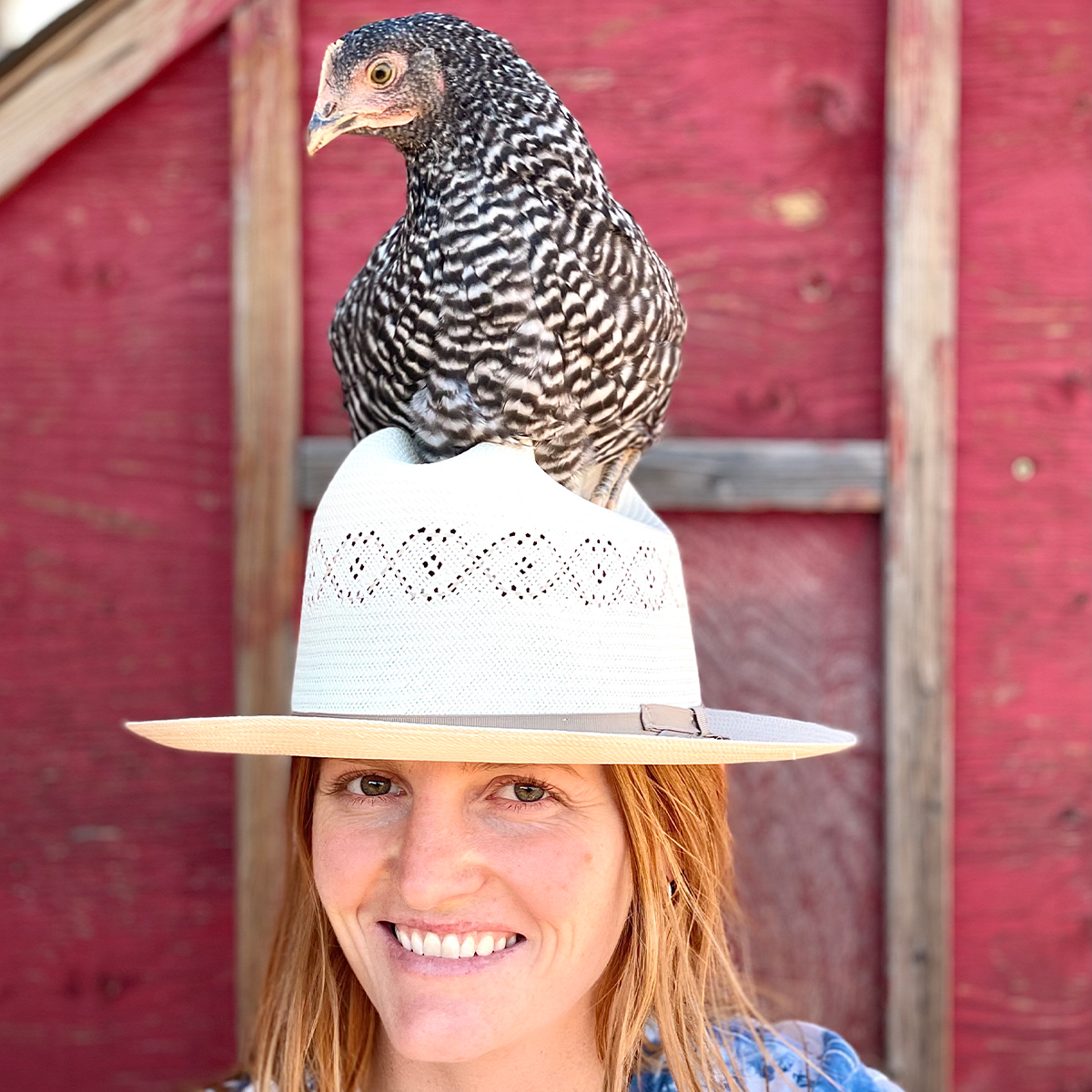 IFA Feathers & Photos: Chick Days Contest | IFA Country Stores