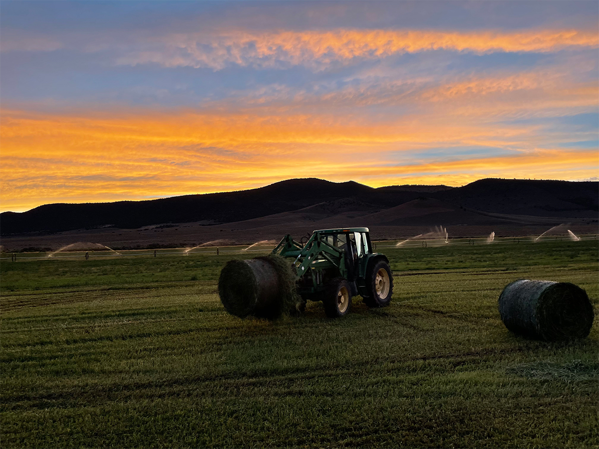 IFA Farm Life Photo Contest | IFA Country Stores