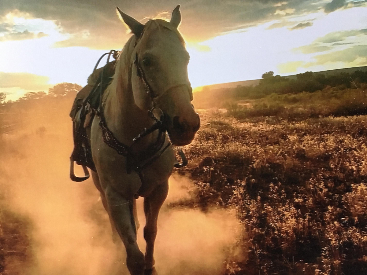 IFA Farm Life Photo Contest | IFA Country Stores