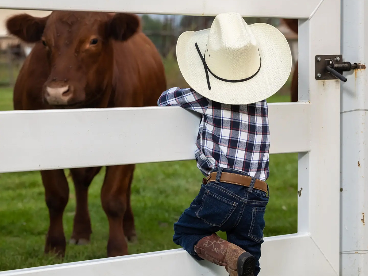 IFA Farm Life Photo Contest | IFA Country Stores