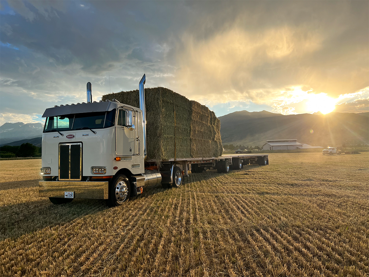 IFA Farm Life Photo Contest | IFA Country Stores