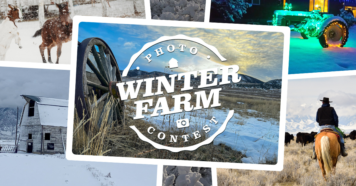 IFA Winter Farm Photo Contest | IFA Country Stores
