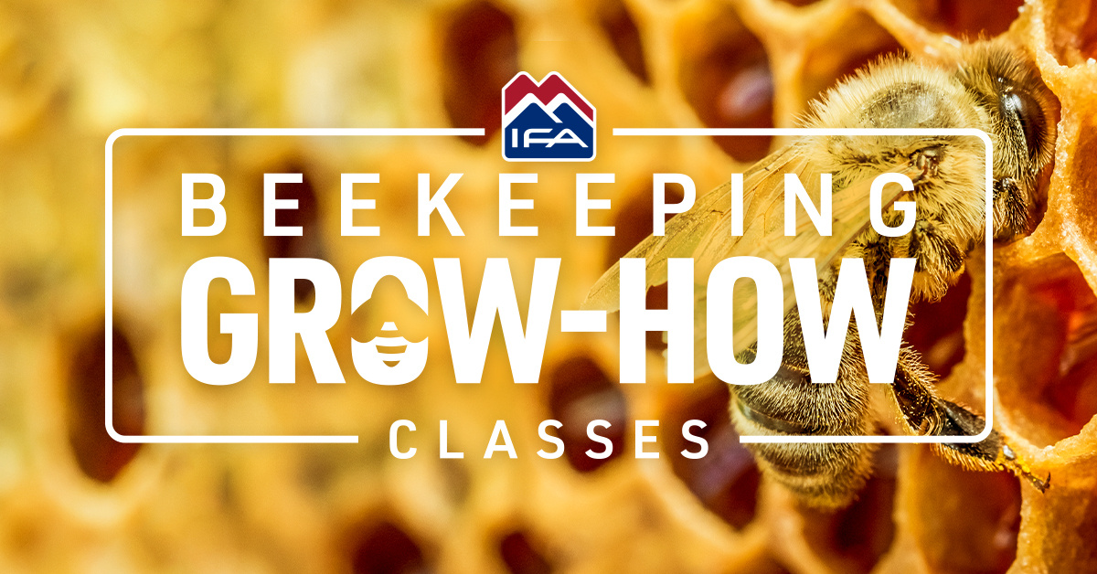 Beekeeping Classes at IFA Country Stores