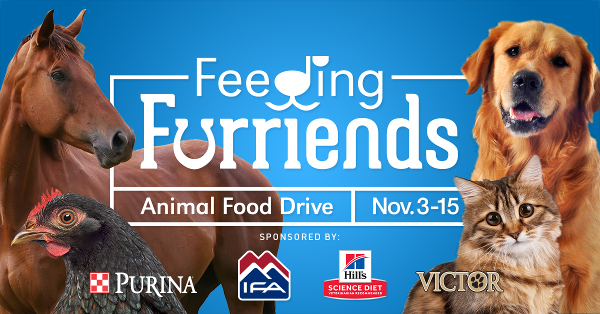 Feeding Furriends Animal Food Drive | IFA Country Stores